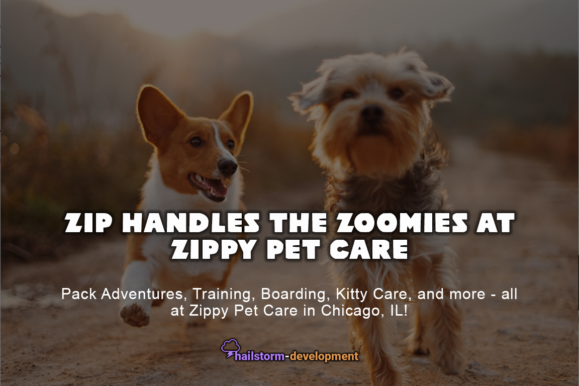 Zip Handles the Zoomies at Zippy Pet Care